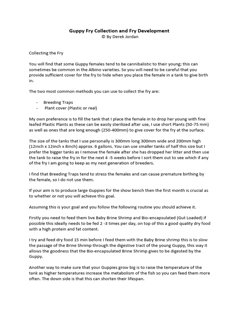 Guppy Fry Collection and Fry Development | PDF