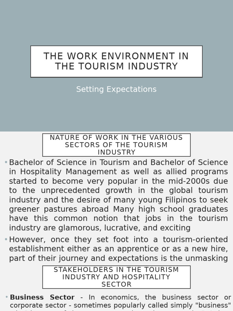 Work Environment in Tourism Industry | PDF | Employment | Tourism
