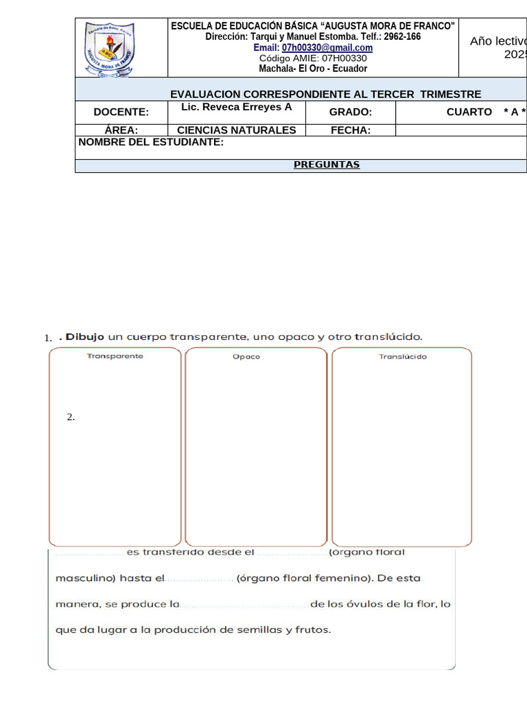 Examen de CCNN 3er Trimestre Cuarto - 24-25 | PDF