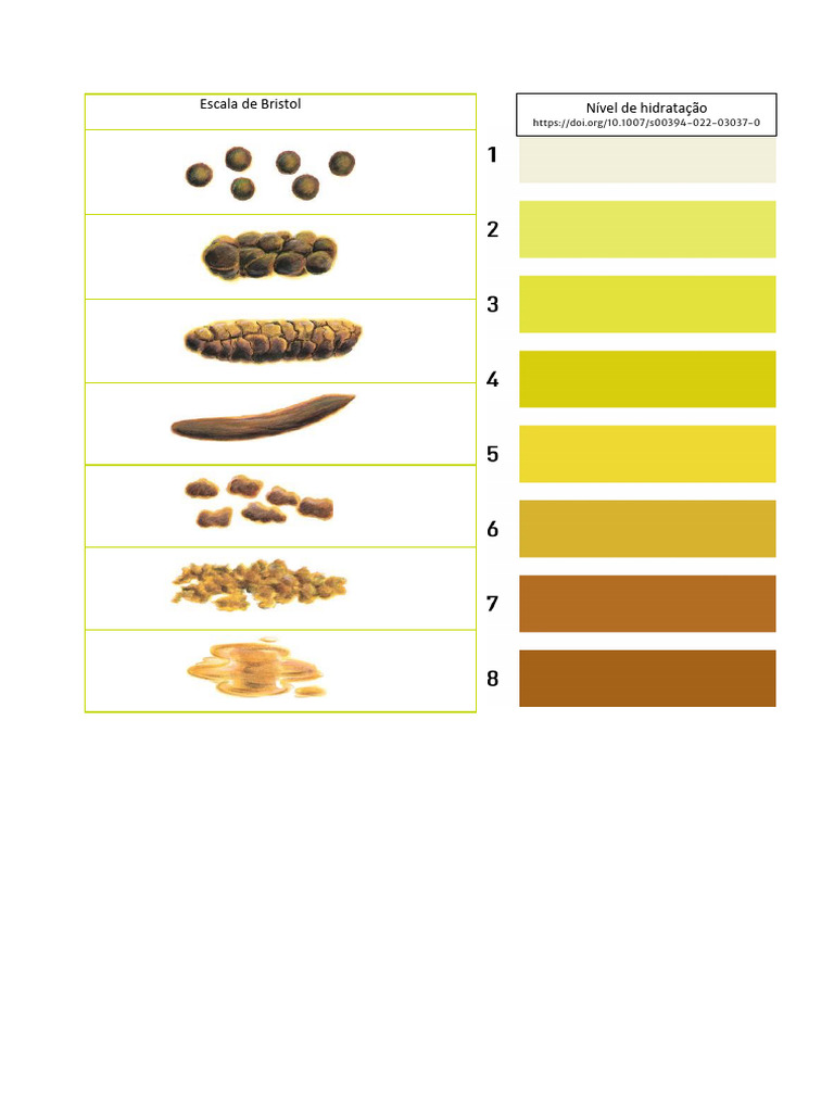 Escala de Bristol | PDF