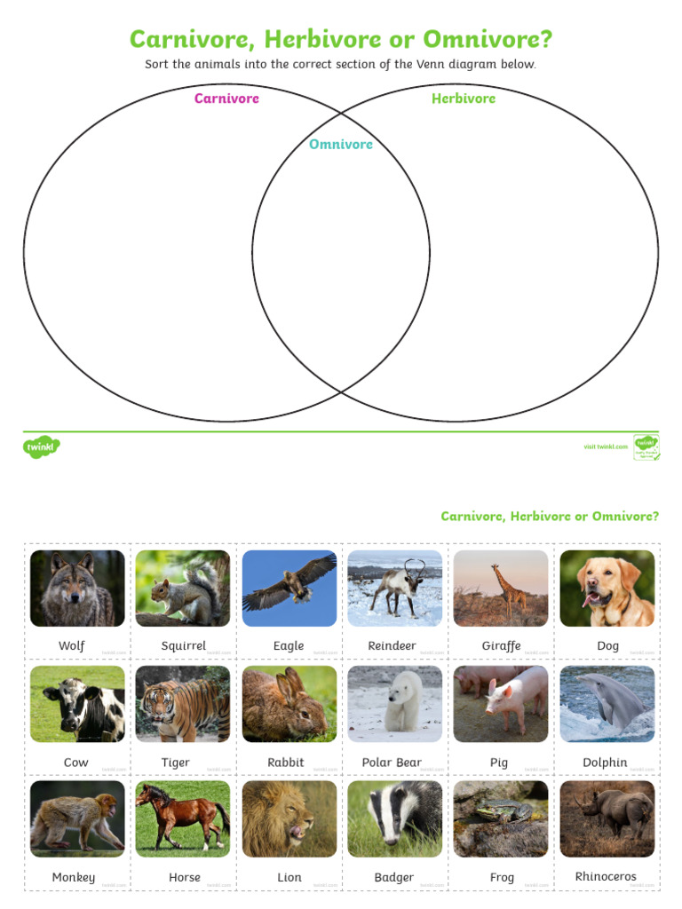 T SC 054 Omnivore Carnivore or Herbivore Venn Diagram Sorting Worksheet ...