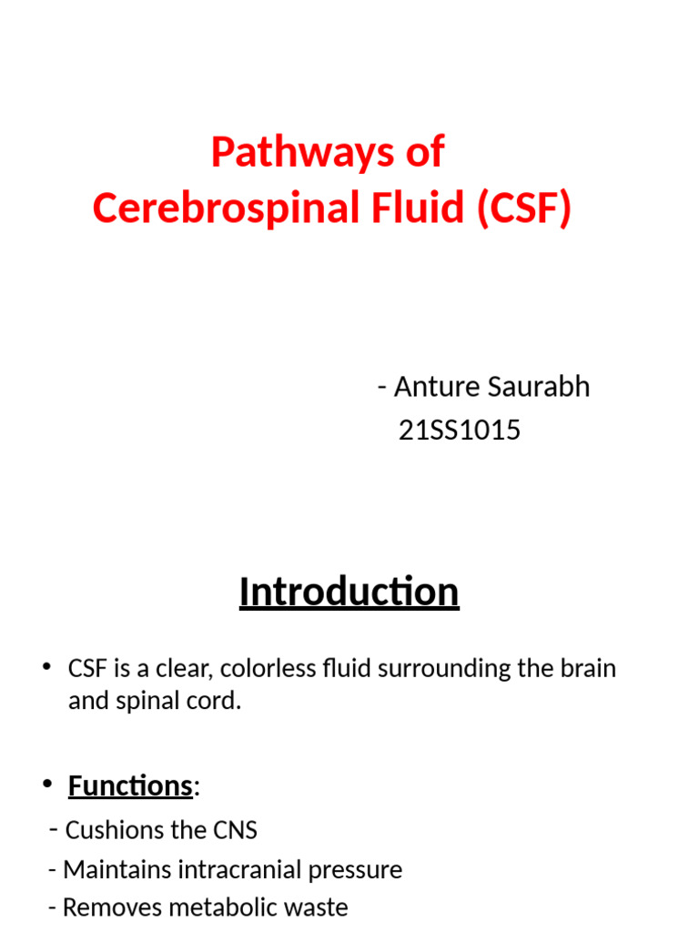 CSF_Pathway and hydroct_Presentation new | PDF | Cerebrospinal Fluid ...