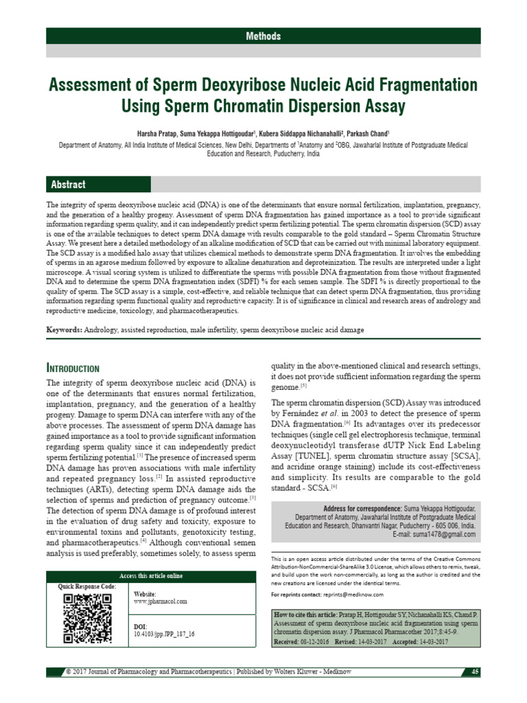 Sperm DNA Fragmentation Assessment | PDF