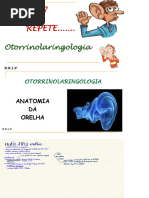 Anatomia e Função da Tuba Auditiva | PDF | Audição | Anatomia humana