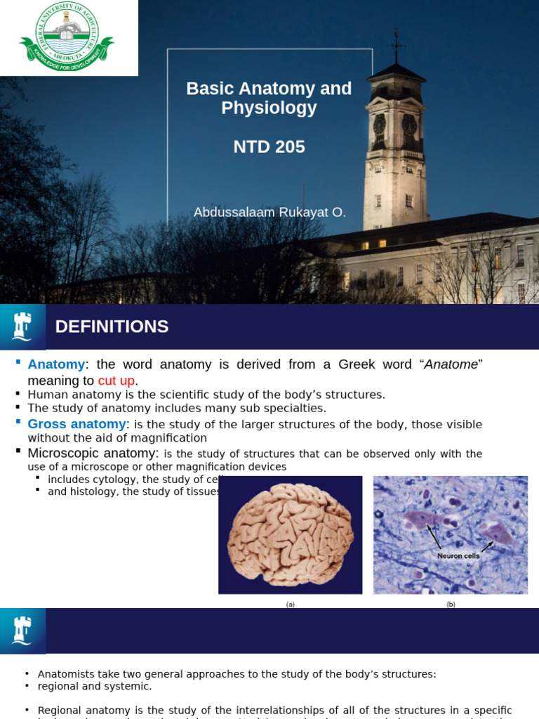 Human Anatomy and Physiology Overview | PDF | Anatomical Terms Of ...