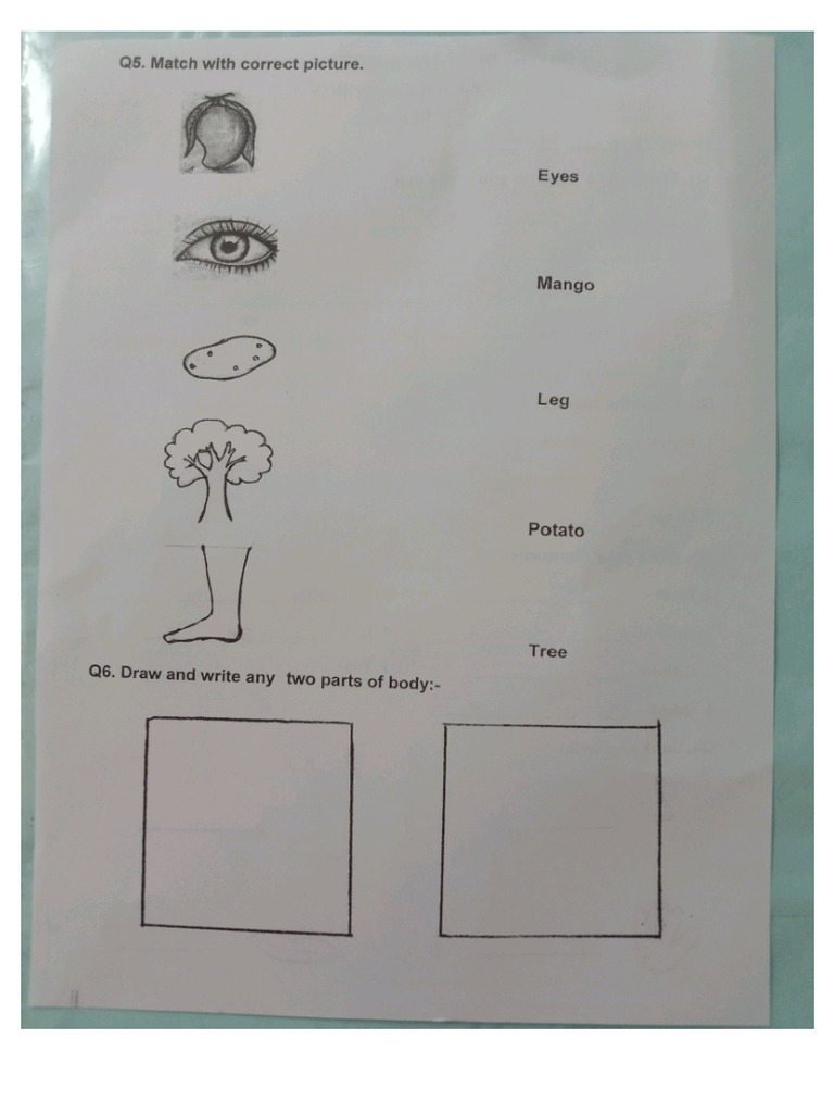 EVS Assignment | PDF