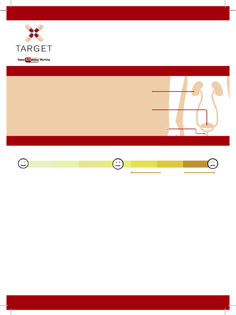 TARGET UTI Leaflet All Ages V1.1 DOC UKHSA | PDF | Urinary Tract ...