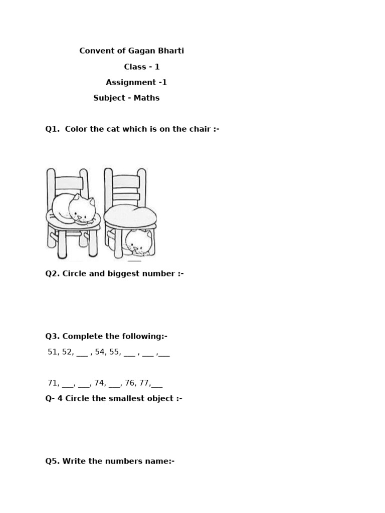 Maths Assignment 1 Class 1 | PDF