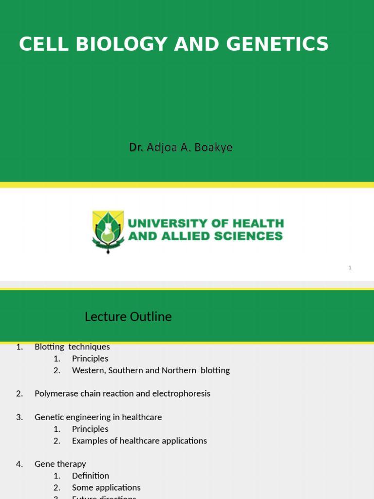 Immunobloting, Genetic Engineering, Gene Therapy, Intro To ...