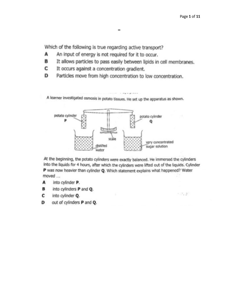 Transport Across The Cell Membrane - MCQs - DRAFT - 113910 | PDF