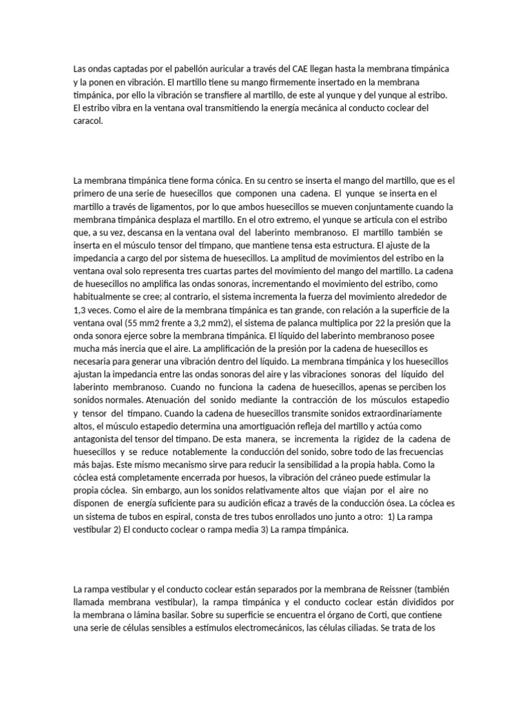 Resumen Guyton | PDF | Escuchando | Sistema Auditorio