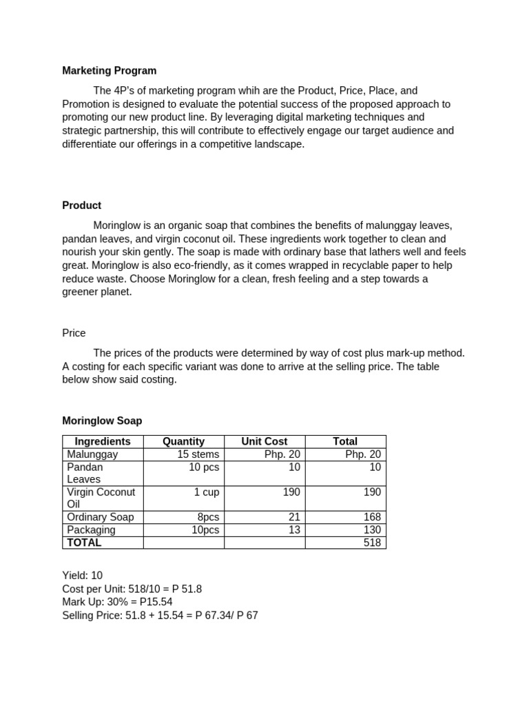 Marketing Program | PDF