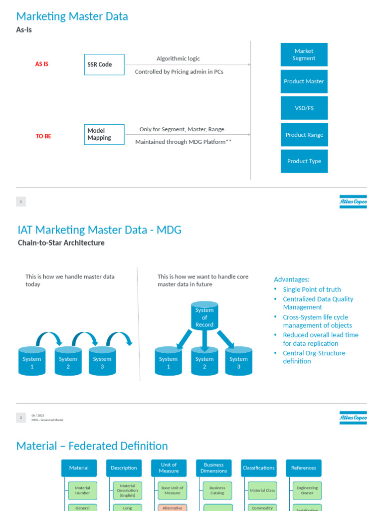 Marketing Master Data Management Overview | PDF | Marketing | Business