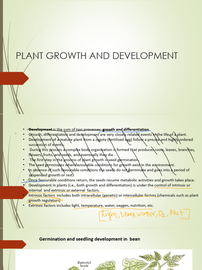 Plant Growth and Development | PDF | Plant Hormone | Auxin