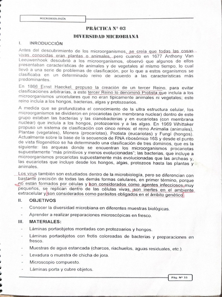 Práctica 3 y 4 micro | PDF