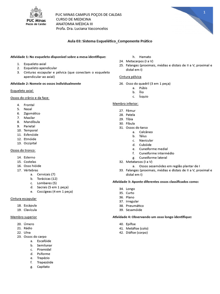 Aula+01_Generalidades_Sistema+esquel%C3%A9tico_componente+pr%C3%A1tico ...