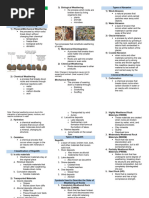 Geography Term 3 Grade 9 | PDF | Weathering | Erosion