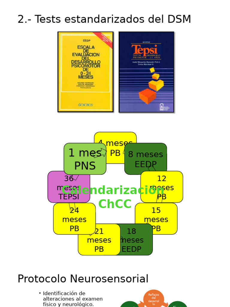Tests Estandarizados Del DSM | PDF | Autismo | Enfermedades y ...