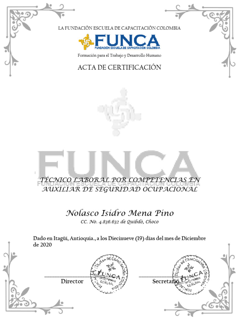 Acta Funca | PDF