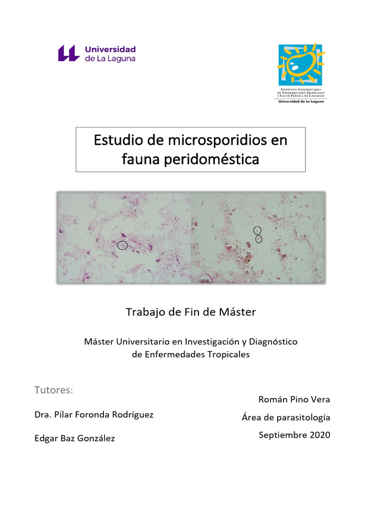 Estudio de Microsporidios en Fauna Peridomestica | PDF | Biología