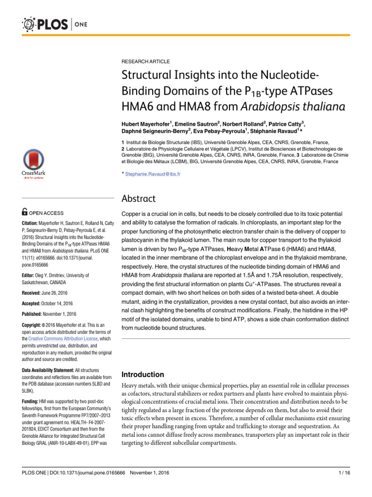 Structural Insights Into The Nucleotide Binding Domains of The P 1b-Type ATPases HMA6 and HMA8 ...