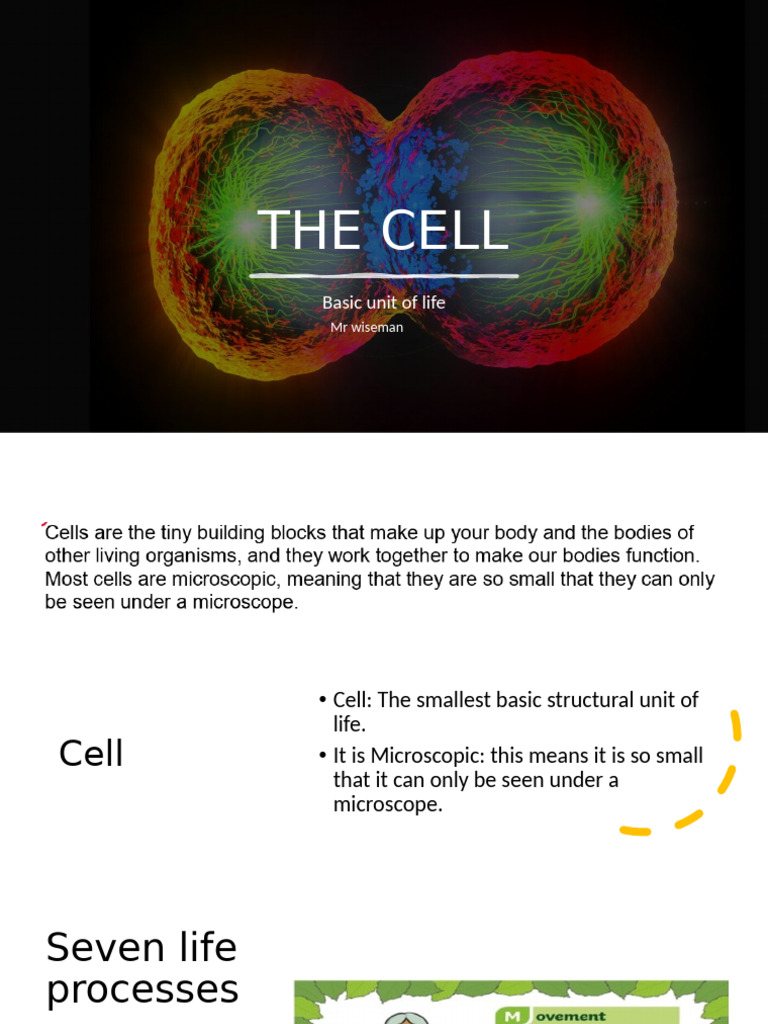 Cell Basic Unit of Life | PDF | Cell (Biology) | Chloroplast