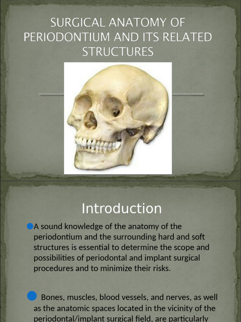Anatomy of Periodontium | PDF | Human Anatomy | Human Head And Neck