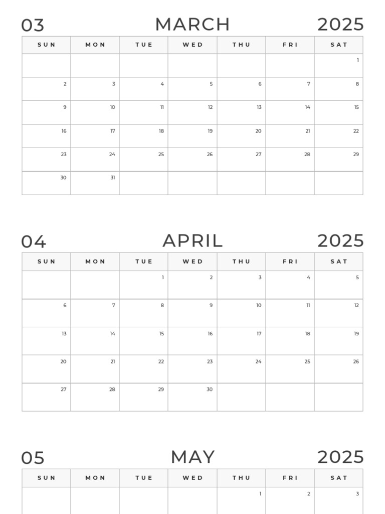 Black and White Minimalist Simple 2025 Monthly Calendar | PDF
