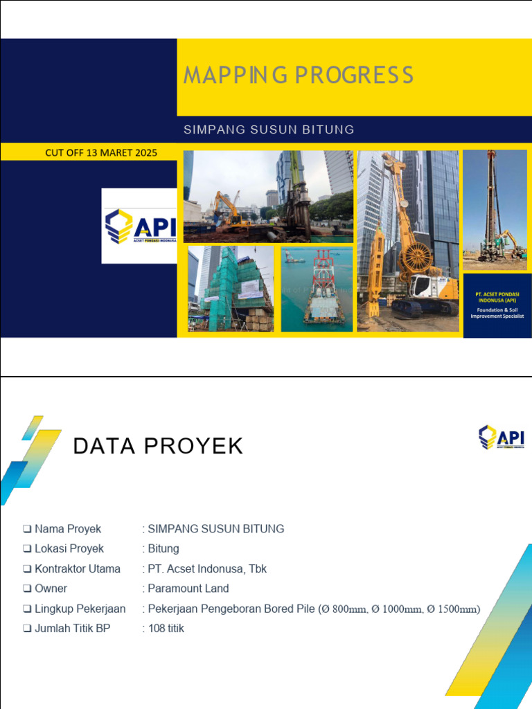 Mapping Progress (13!3!25) | PDF