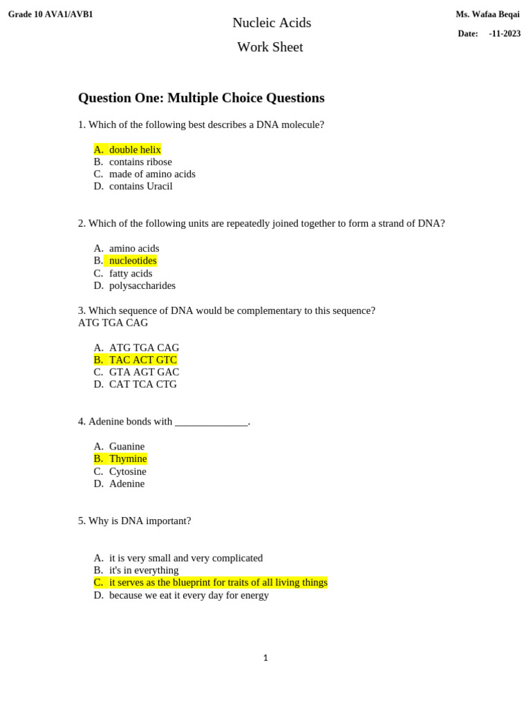 Nucleic Acids Worksheet for Grade 10 | PDF | Nucleic Acids | Dna