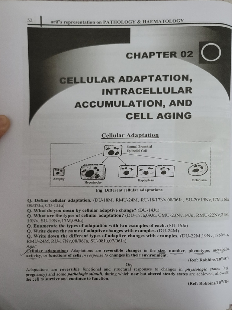 Cellular Adaptation Patho | PDF
