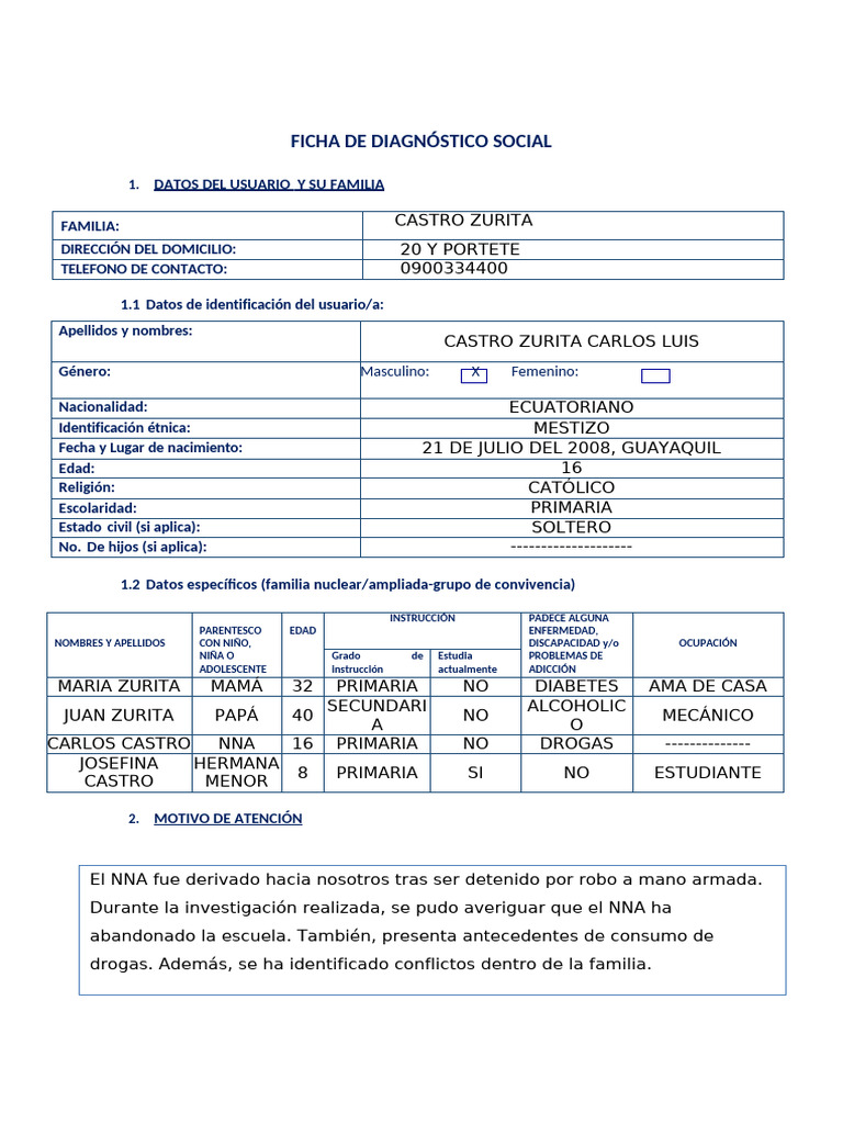 Ficha de Diagnostico Social | PDF | Trabajo Social | Alcoholismo