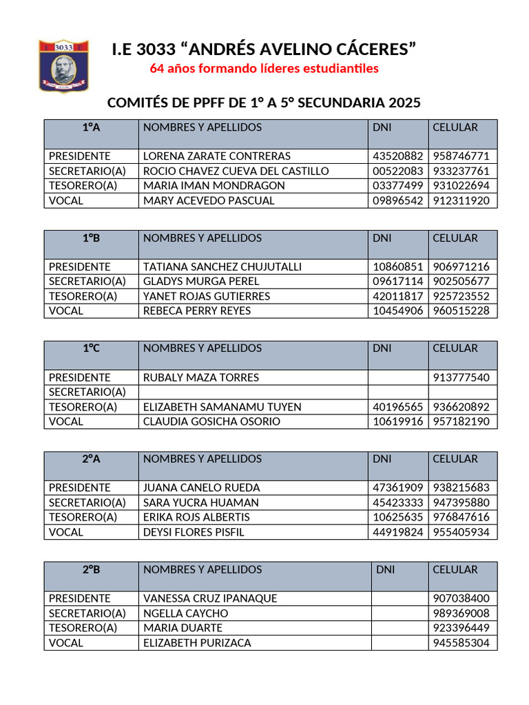 Formato Comités de PFF 2025 | PDF
