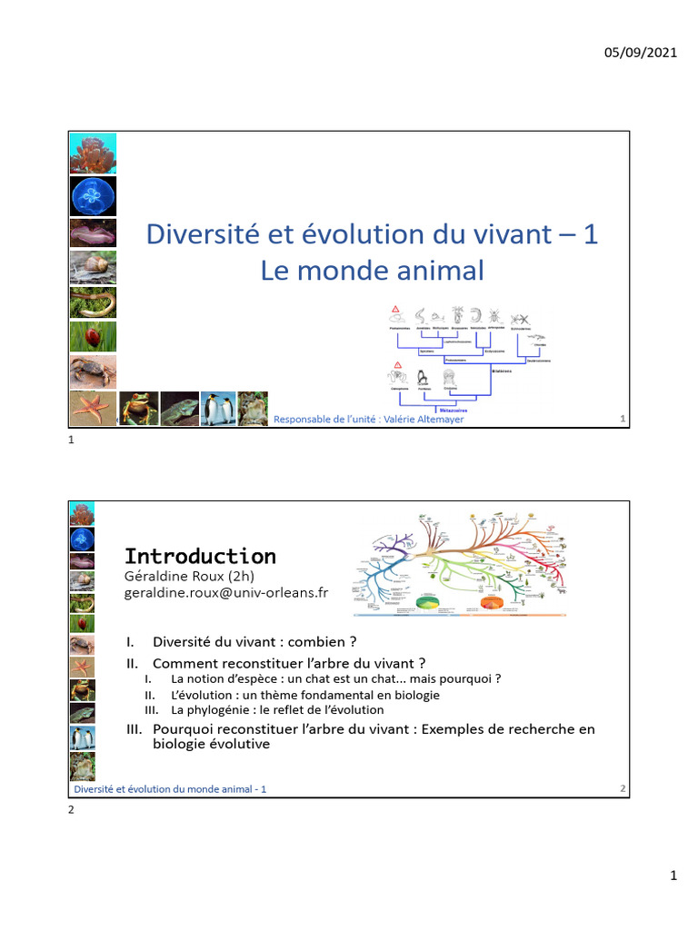 Diversité et évolution du vivant | PDF | Phylogenèse | Évolution