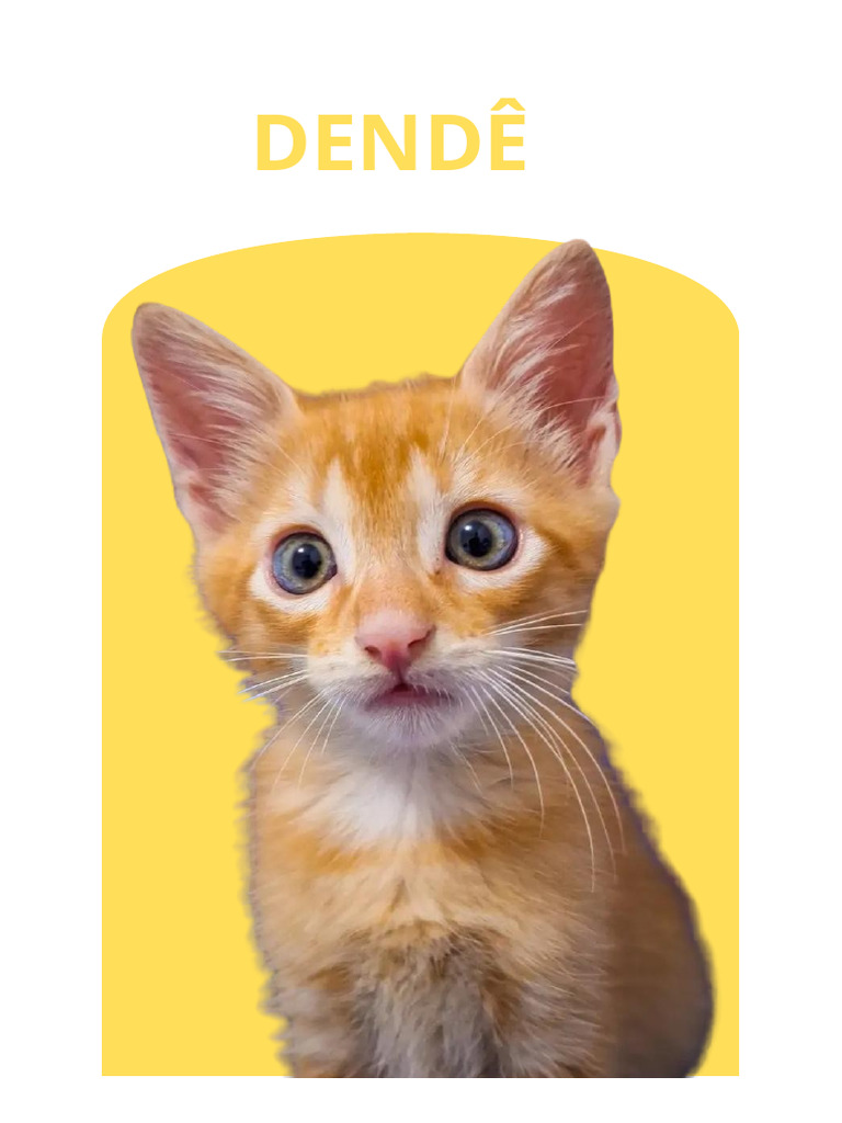 DENDE | PDF