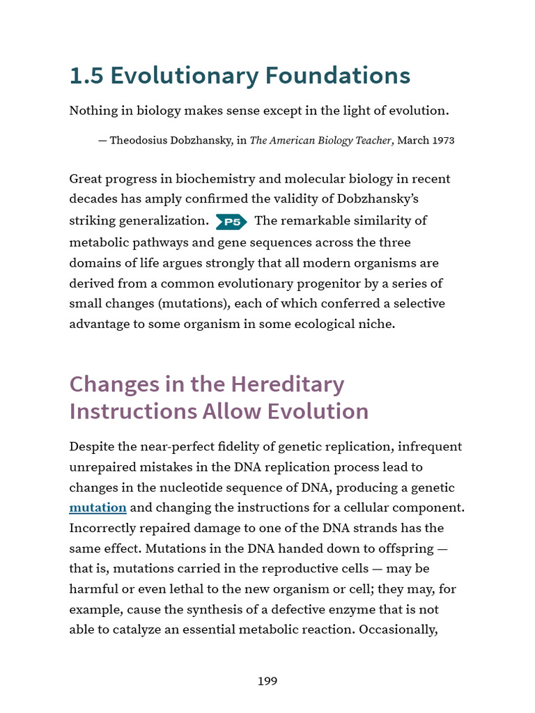 17 - 15 Evolutionary Foundations | PDF | Gene | Eukaryotes