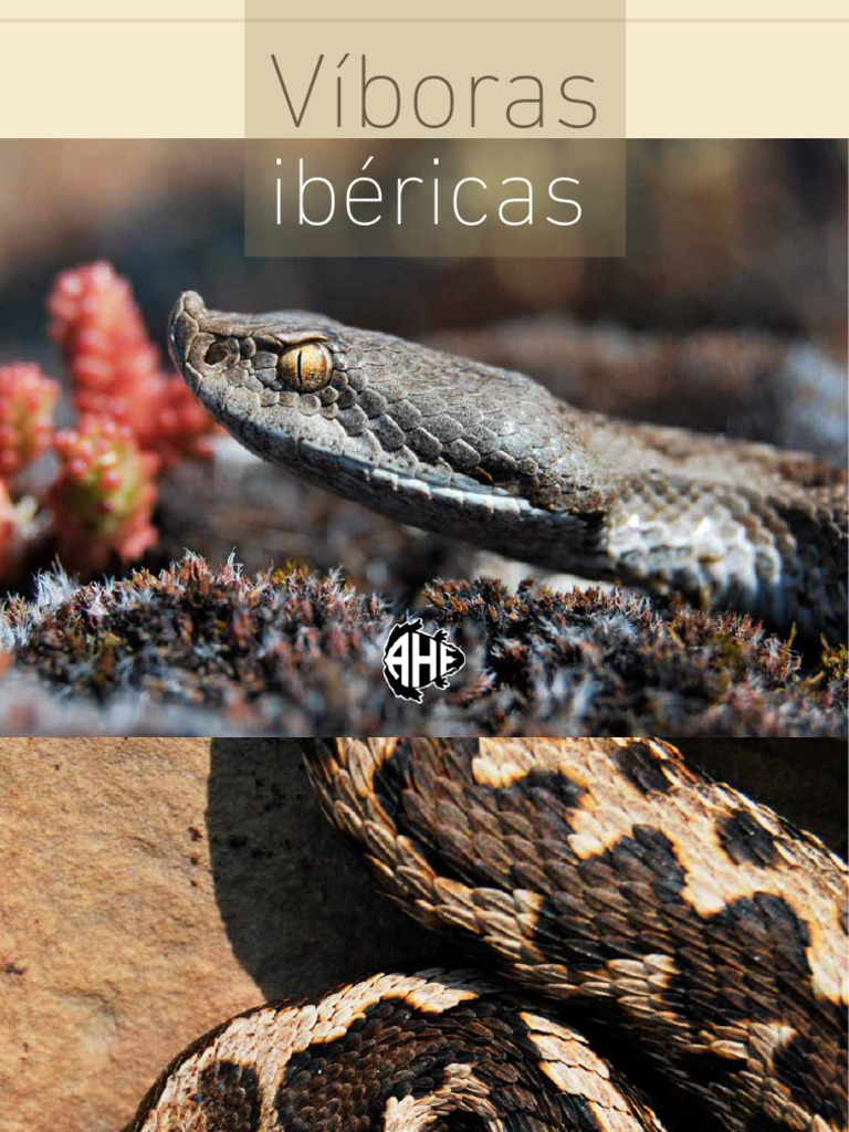 Distribución de víboras ibéricas | PDF