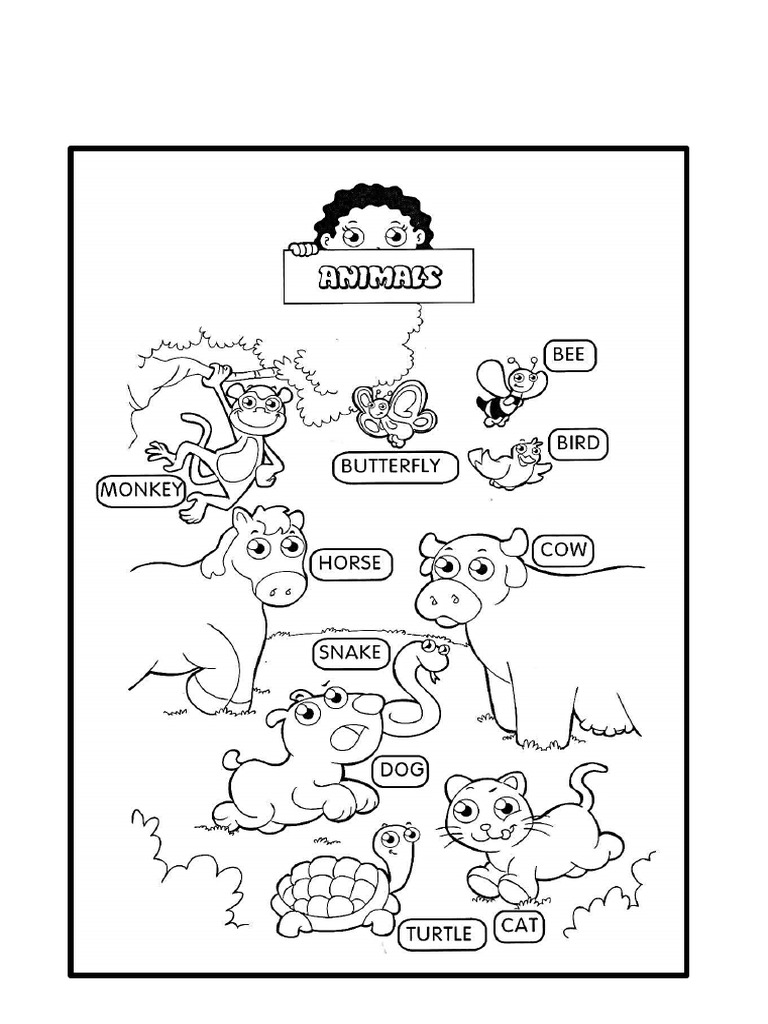 Animals Colorir | PDF