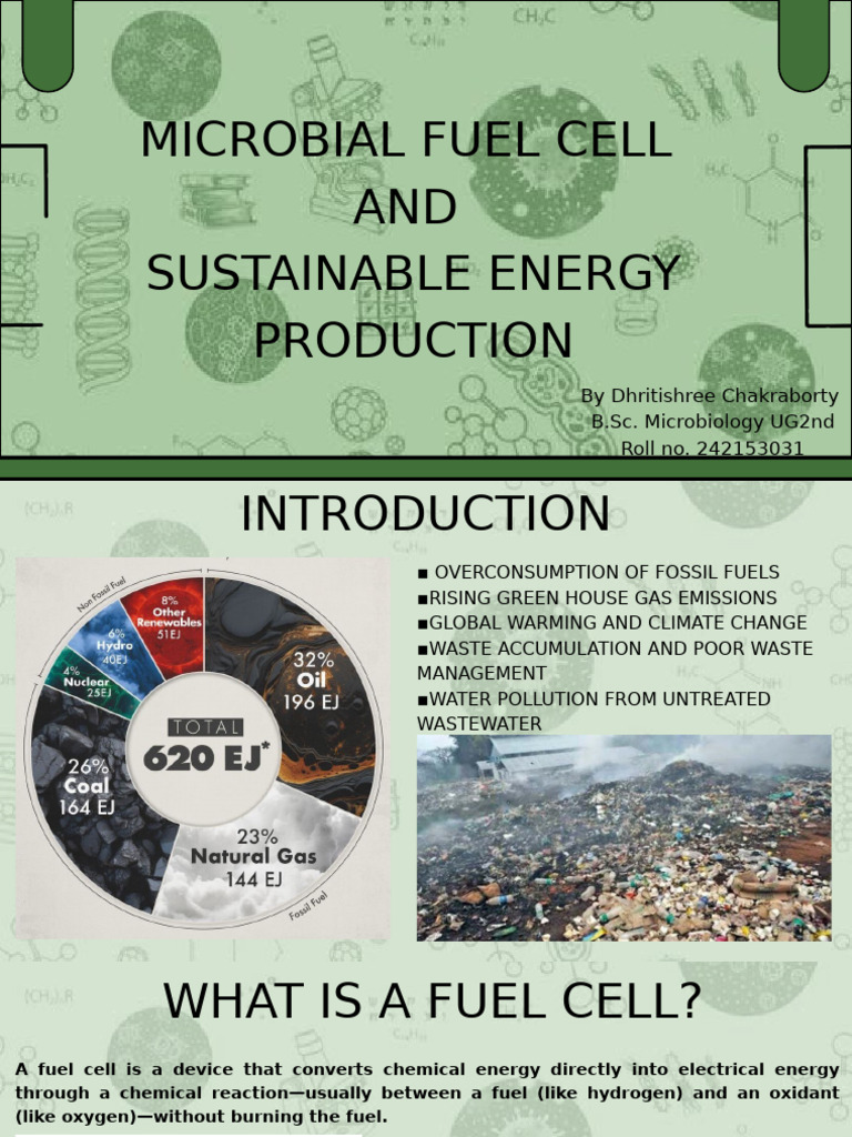 Microbial Fuel Cell and Sustainable Energy Production - 20250505 ...