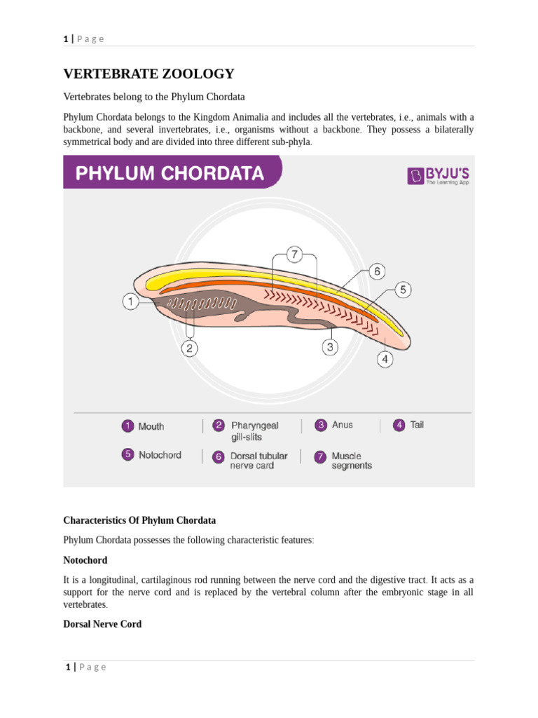 Vertebrate Zoology 2025 | PDF | Amphibian | Reptile