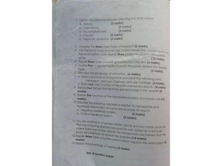 Anatomy Papers | PDF