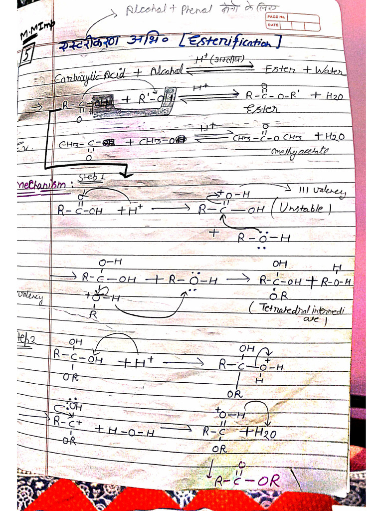 Esterification | PDF