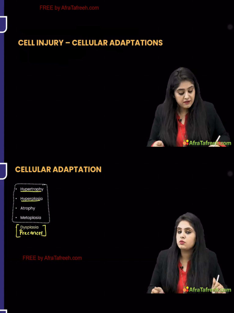 2 B Cellular Adaptation | PDF