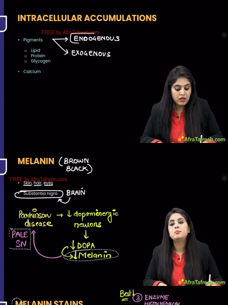 3 intracellular accumulation | PDF