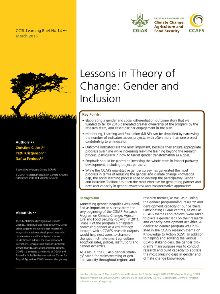 Lessons in Theory of Change - Gender and Inclusion | PDF | Climate ...
