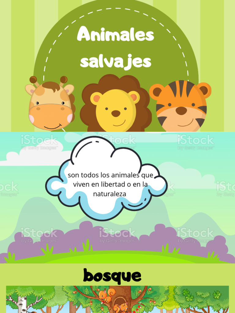 Animales Salvajes | PDF