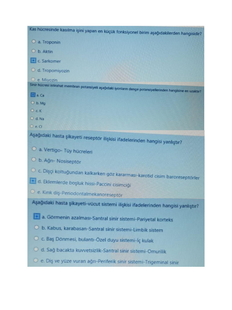 Yomn Fizyoloji 1 Vize 2020 | PDF