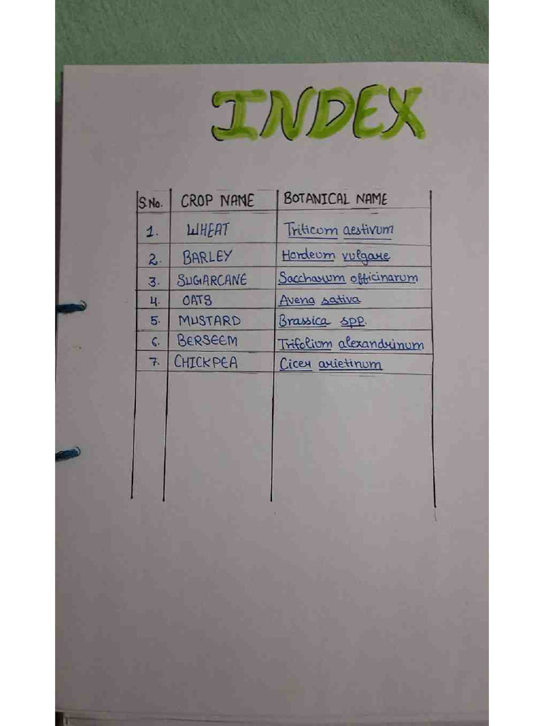 Herbarium Compressed High | PDF