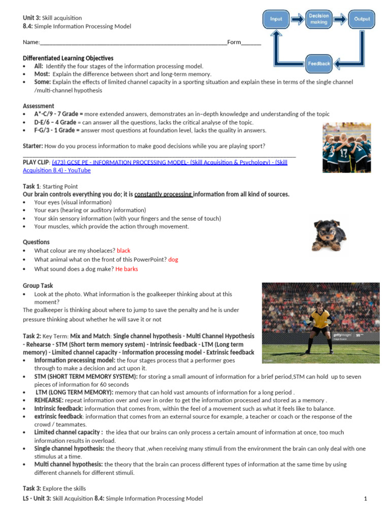 8.4. Simple Information Processing Model Students | PDF | Information | Memory