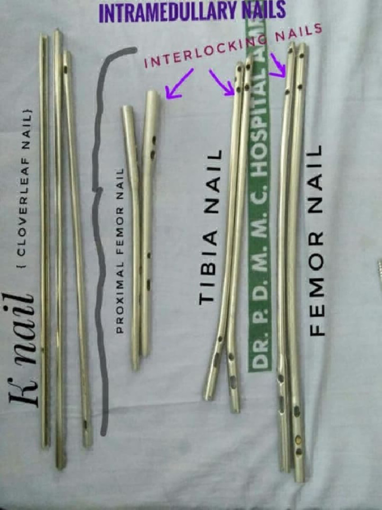 Ortho Instruments | PDF